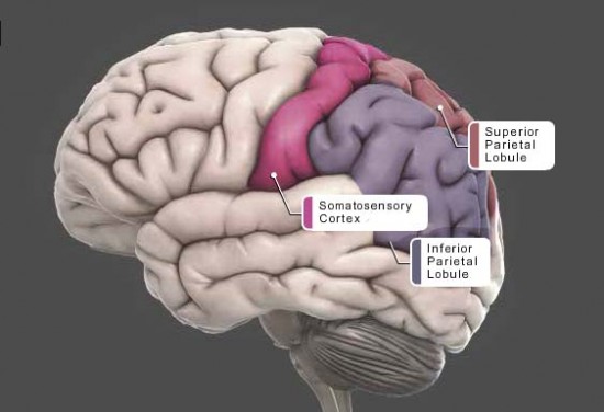 ASTEREOGNOSIA - Binipatia e higienismo
