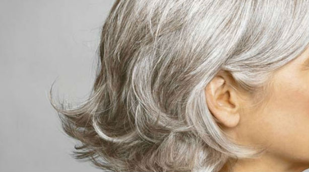 CANICIE - Binipatia e higienismo