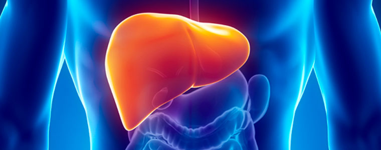 CARCINOMA PRIMARIO DE LAS CÉLULAS DEL HIGADO - Binipatia e higienismo