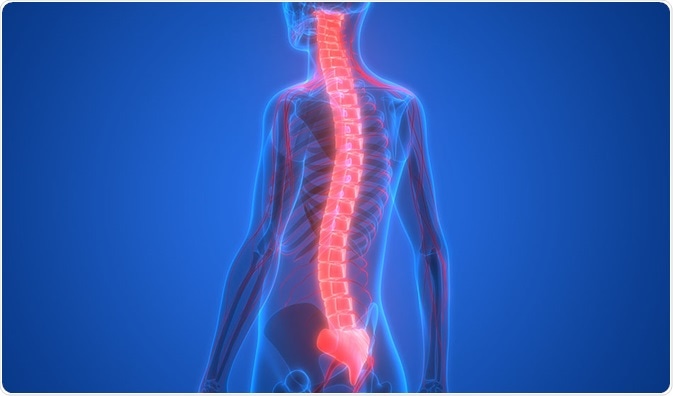 ATROFIA MUSCULAR ESPINAL - Binipatia e higienismo