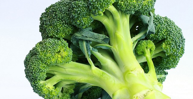 CRUCÍFERAS - Binipatia e higienismo